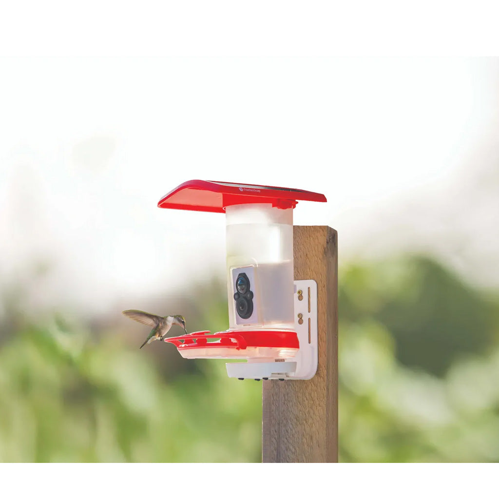 Tactacam Feathersnap Hummingbird Feeder Gen 1 – PRODUCT WORLD USA